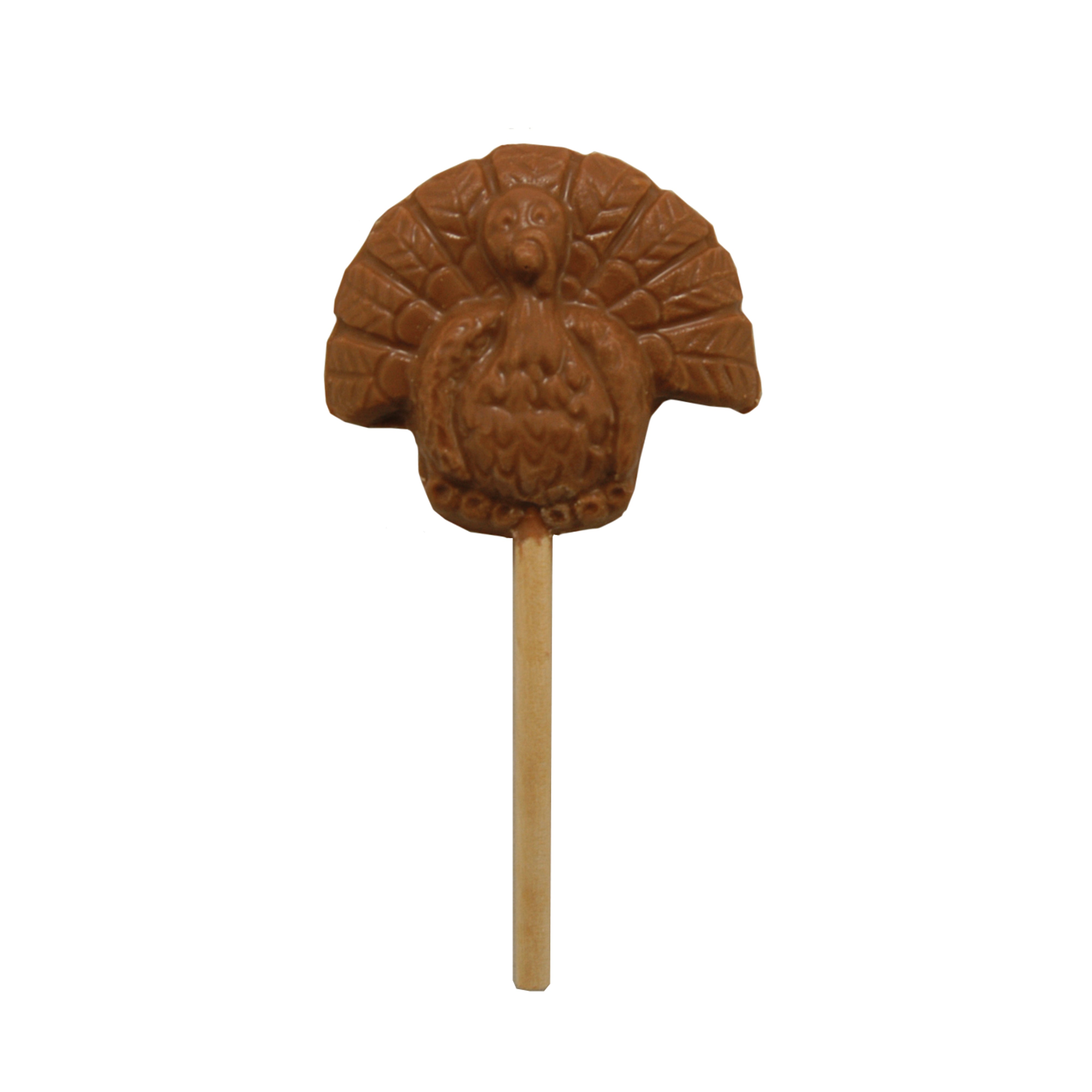 Milk or Dark Chocolate Turkey Pop – Red Bank Chocolate Shoppe